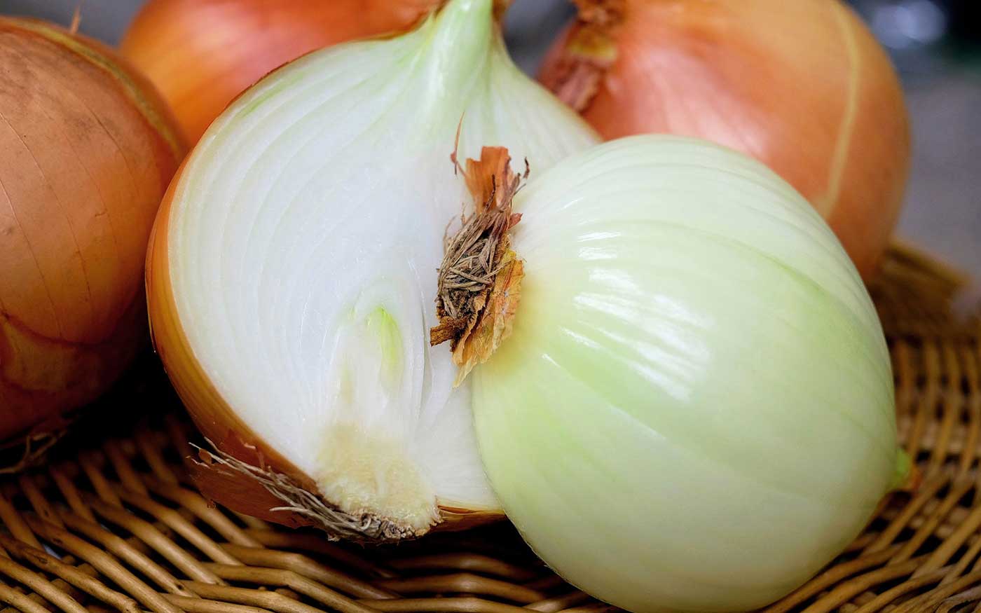 A-Gurda-Produce-Onions-Header - agurdaproduce.com